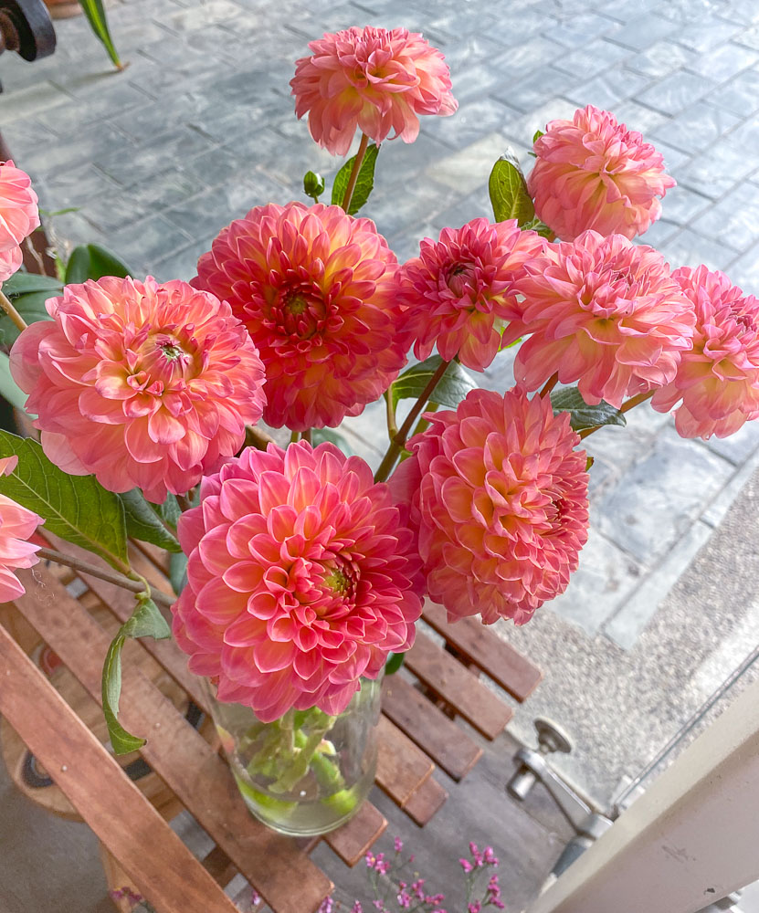 How to Care for Fresh Flowers